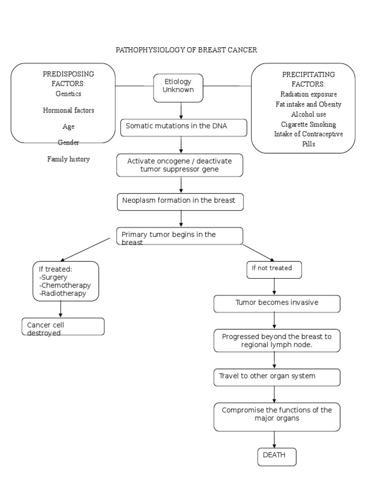 Pathophysiology of Breast Cancer | PDF | Neoplasms | Cancer