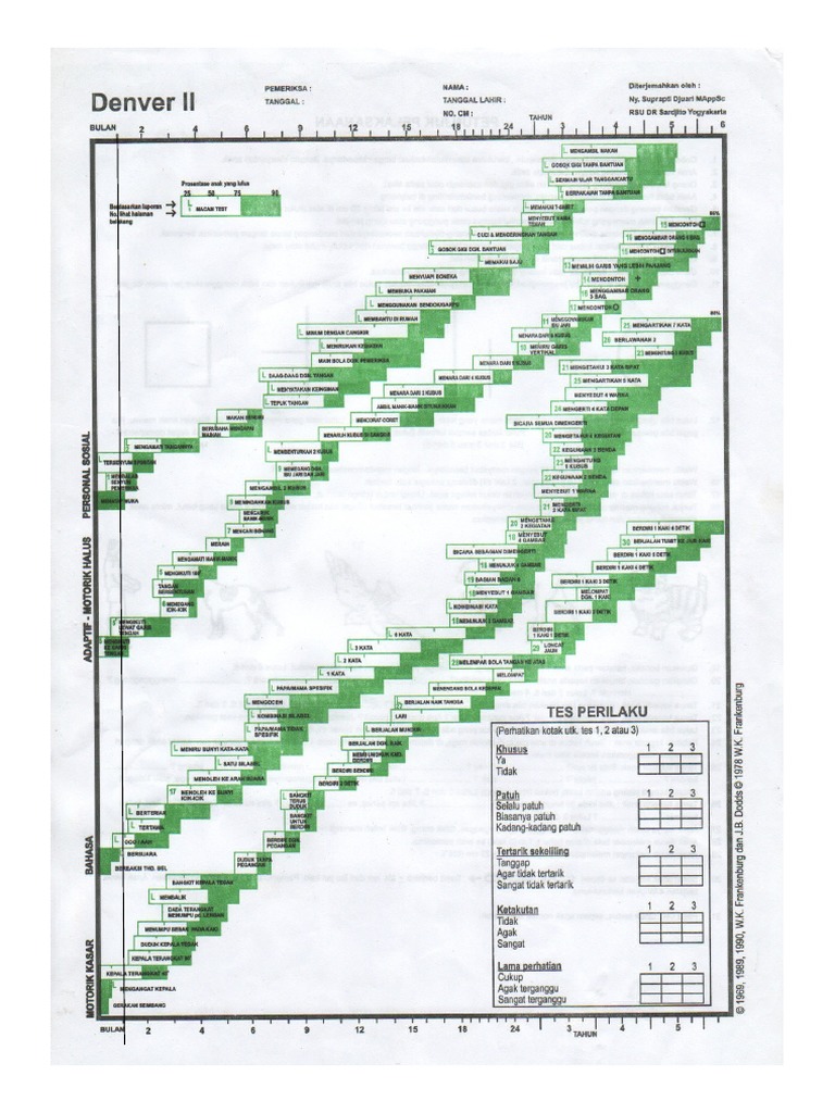 Lembar Denver II | PDF