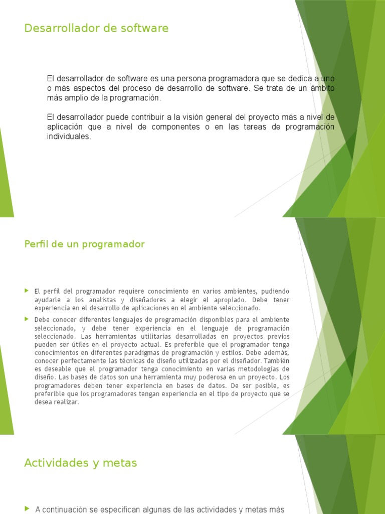 Funciones Desarrollador de Software | PDF | Programación de ...