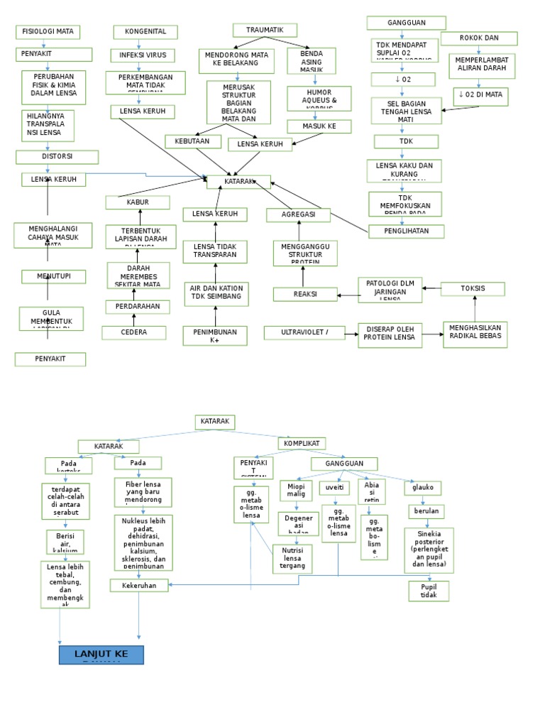 Pathway Katarak | PDF