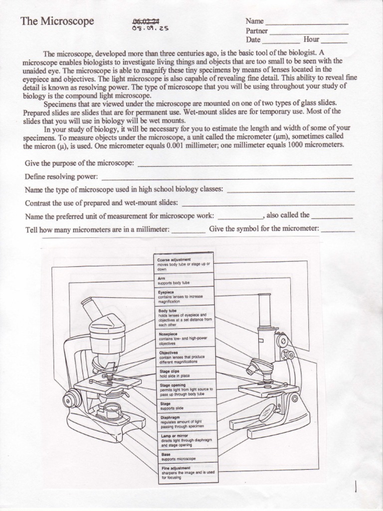 Microscope Lab | PDF | Microscope | Optics