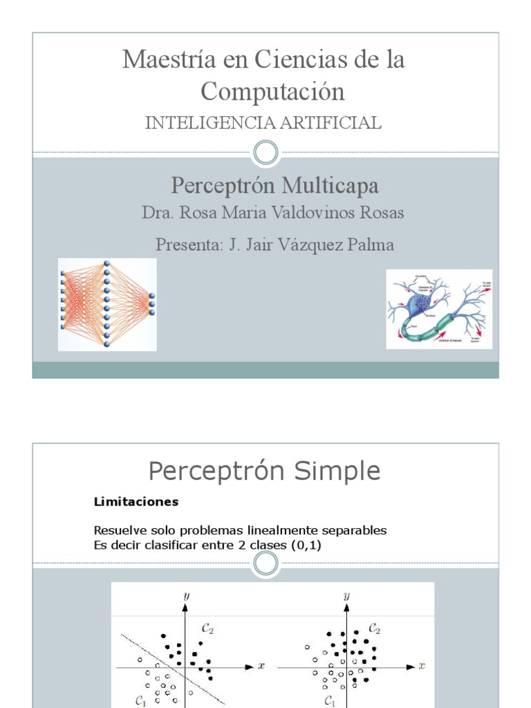 Red Neuronal Perceptron Multicapa | PDF | Algoritmos y Estructuras de ...