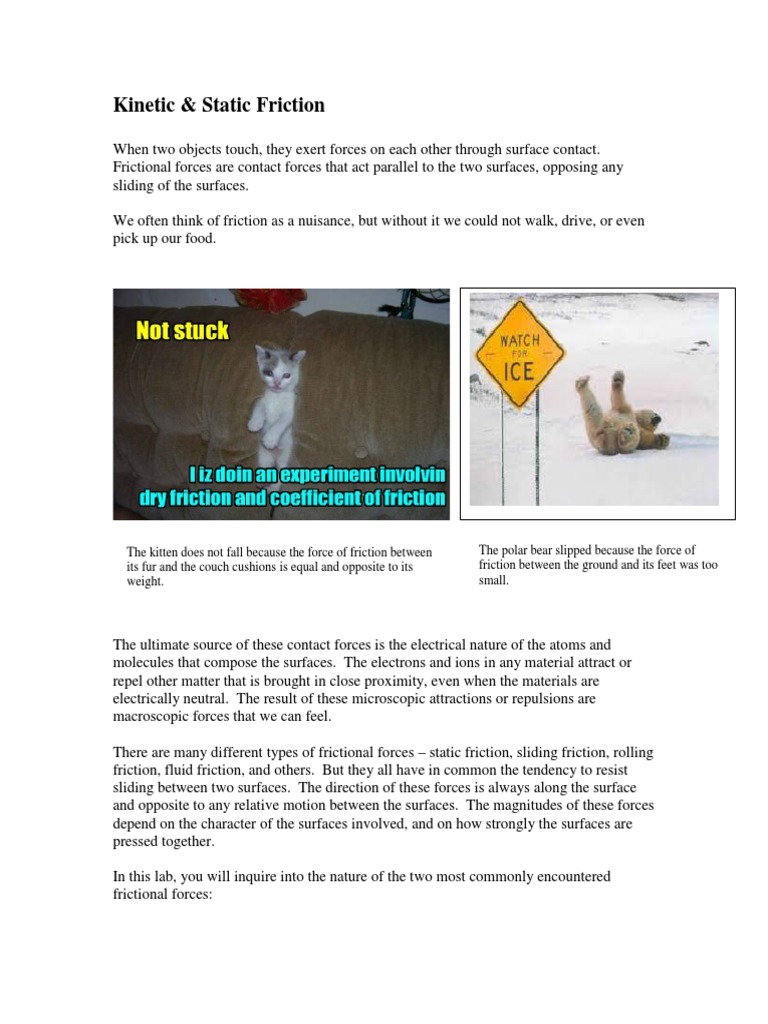 Lab 5 Friction 2211L S14 | PDF | Friction | Force