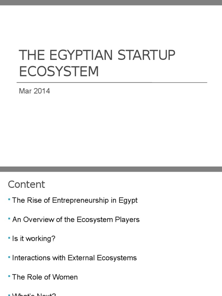Egyptian Startup Ecosystem Overview | PDF | Venture Capital | Corporate ...