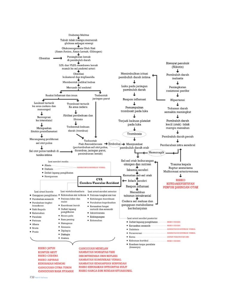 Pathway CVA Infrak | PDF