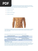 9 Regio Abdomen dan Organ Terkait | PDF | Kesehatan Holistik