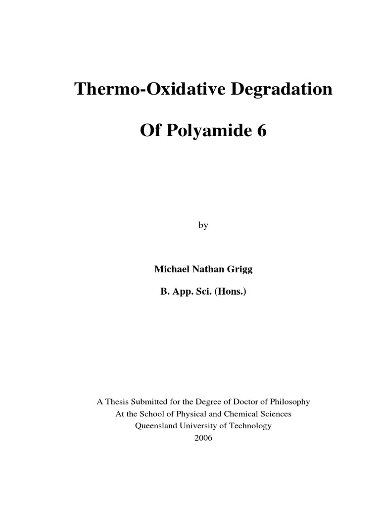 Thermo-Oxidative of Polyamide 6 | PDF | Polymers | Radical (Chemistry)