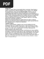 Ljubavni Zivot Natusa | PDF