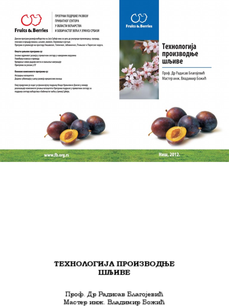 Tehnologija Proizvodnje Sljive PDF | PDF