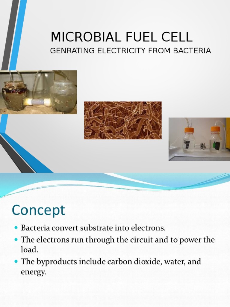 Microbial Fuel Cell: Genrating Electricity From Bacteria | PDF | Redox ...
