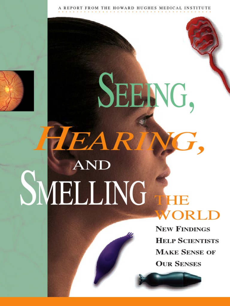 Our Senses: Seeing, Hearing, and Smelling The World | PDF | Visual ...