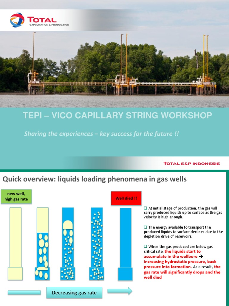 Gas Well Liquid Loading Solutions | PDF | Petroleum Reservoir | Pump