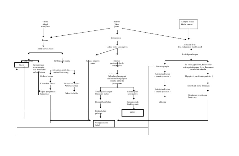 Pathway Keratitis (Poli Mata) | PDF