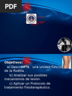Semiología de Rodilla | PDF | Rodilla | Anatomía del miembro inferior