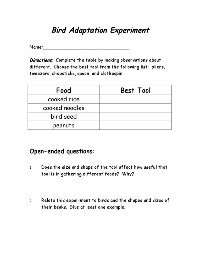 Bird Adaptation Experiment: Food Best Tool | PDF | Wellness