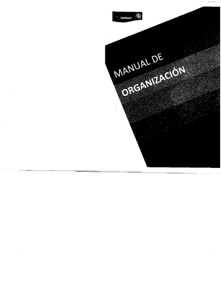 Manual de Organizacion ITF | PDF