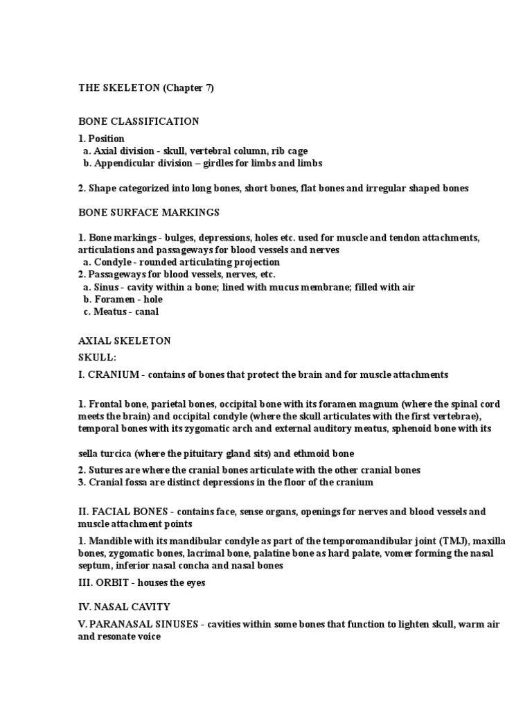 Anatomy and Physiology: Chapter 7 - Skeleton | PDF | Skull | Vertebral ...