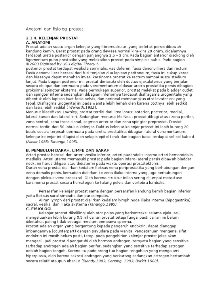 Anatomi Dan Fisiologi Prostat | PDF | Sains & Matematika