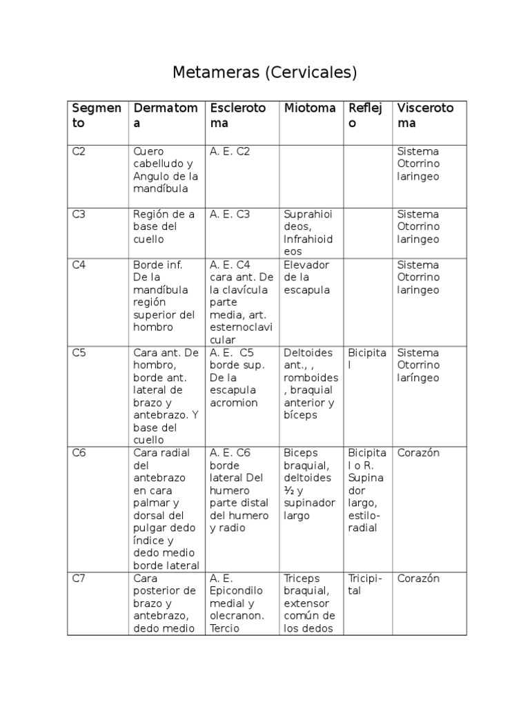 Tabla De Miotomas Y Dermatomas