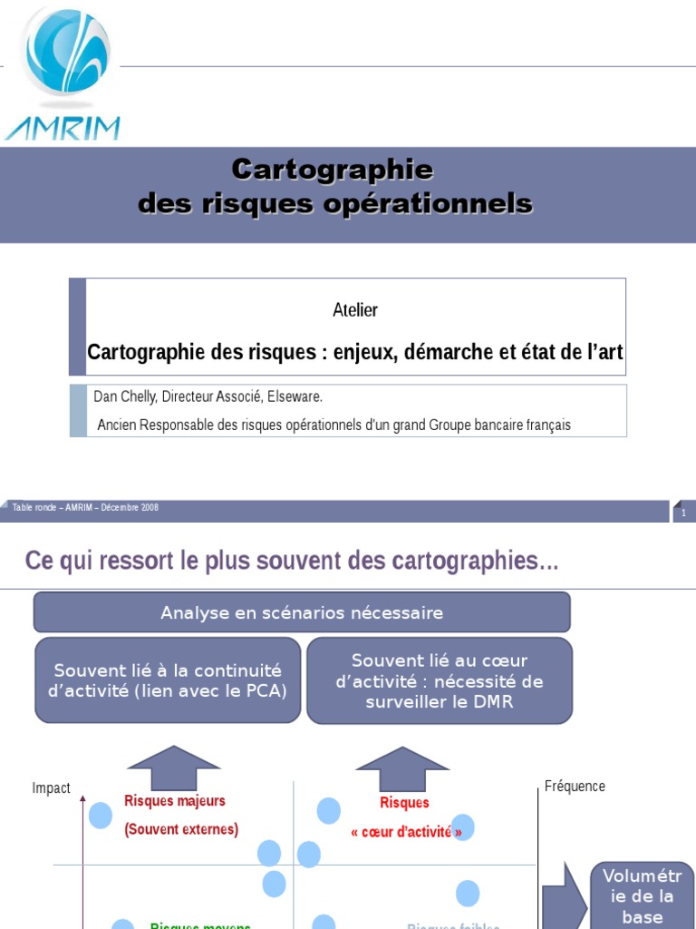 Presentation DAN CHELLY | PDF | Risque opérationnel | Cartographie