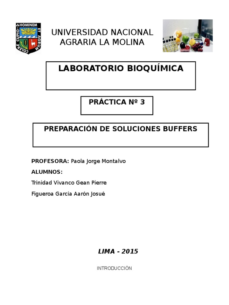 Bioquimica | PDF | Solución tampón | Ph