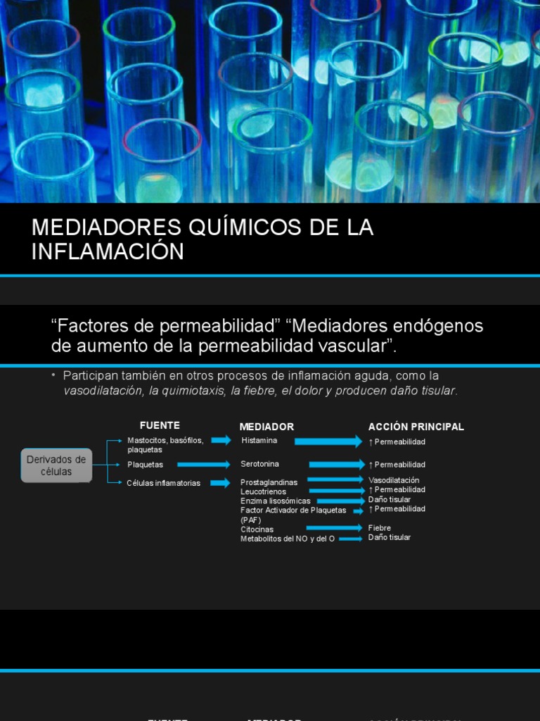 Mediadores Químicos de La Inflamación | Sistema complementario ...