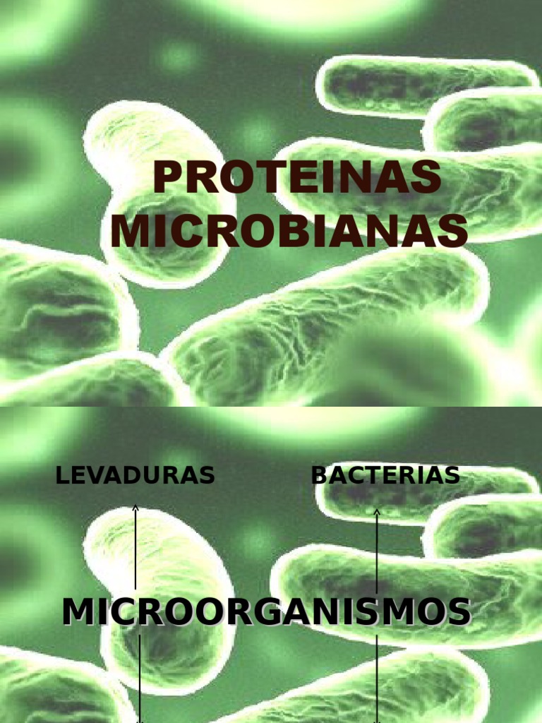 proteinas microbianas ORIGINALoooo.ppt | Microorganismo | Proteínas