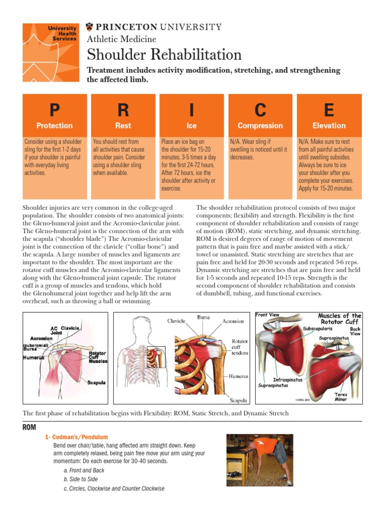 E C I R P: Shoulder Rehabilitation | PDF | Anatomical Terms Of Motion ...