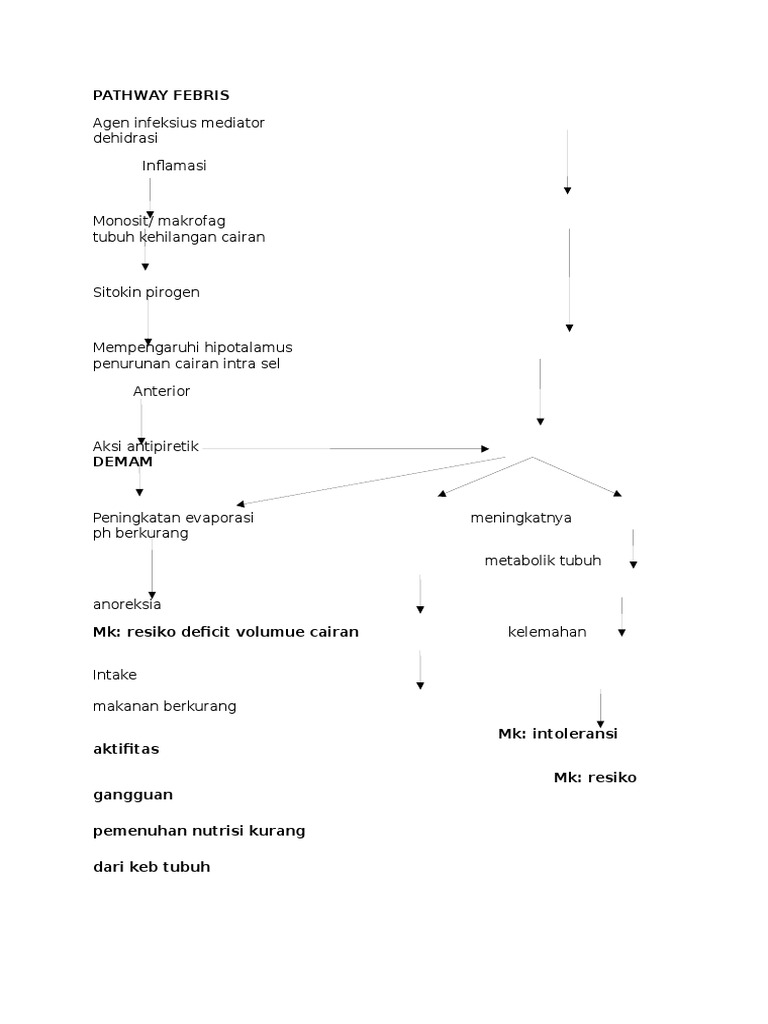 Pathway Febris | PDF