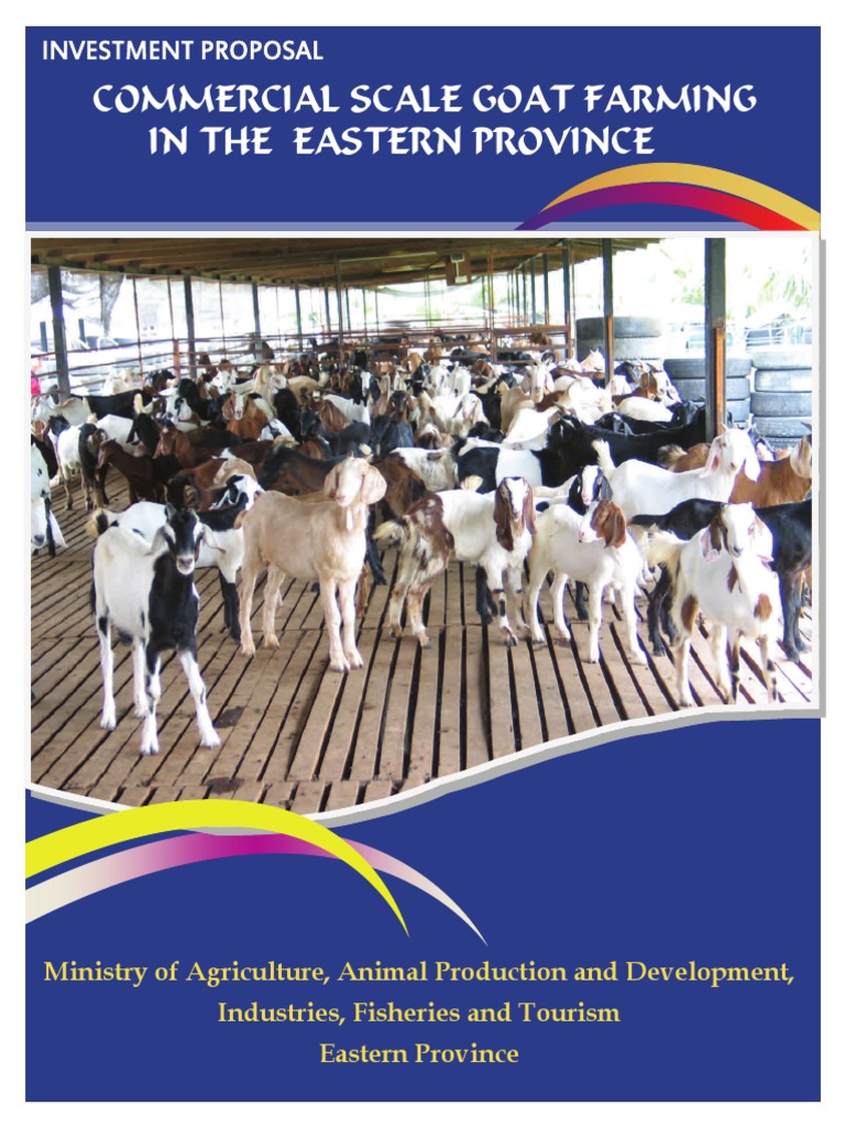 Goat Farming Investment Proposal - SL EP | PDF | Goat | Lamb And Mutton