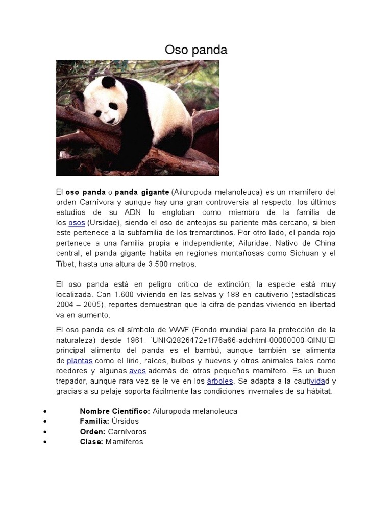 Oso Panda Pdf Panda Gigante Osos