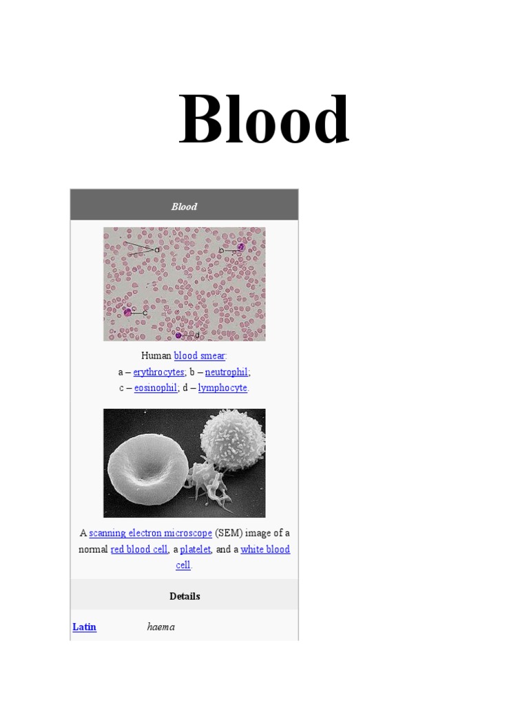 Blood | PDF