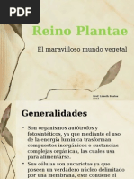 Reino Fungi | PDF | Hongo | Plantas