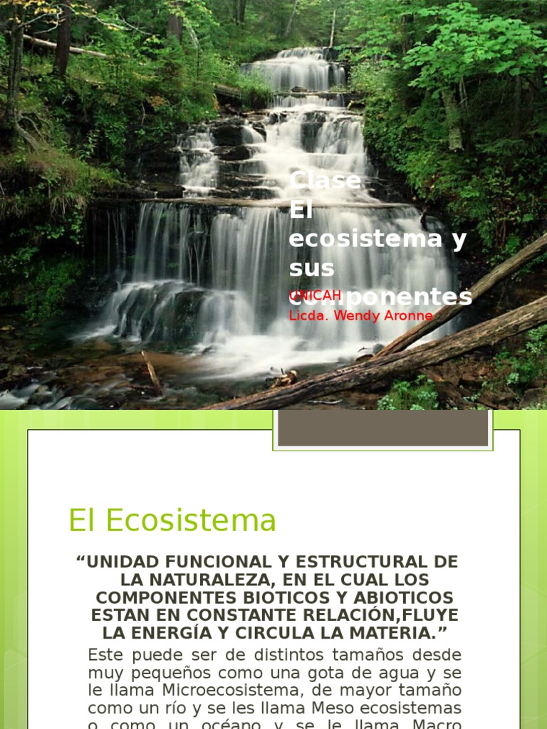 Ecosistema y Sus Componentes | PDF | Ecosistema | Ecología