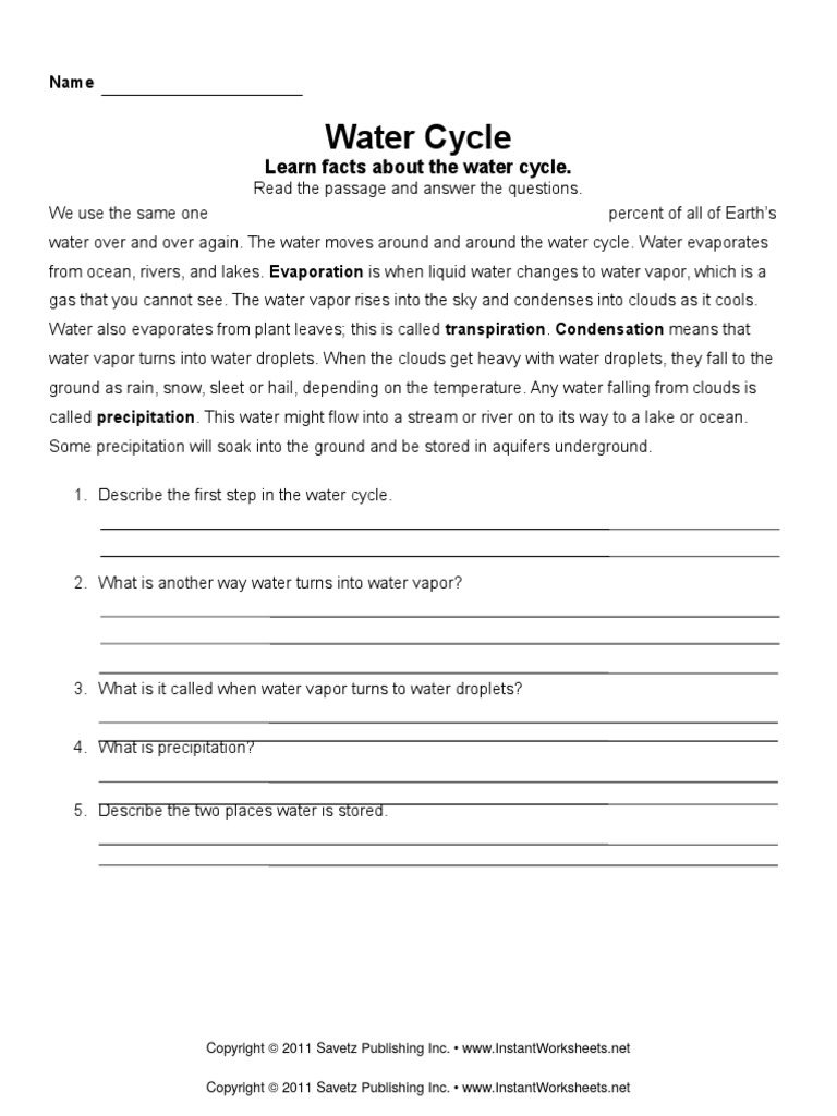 Water Cycle Comprehension | PDF