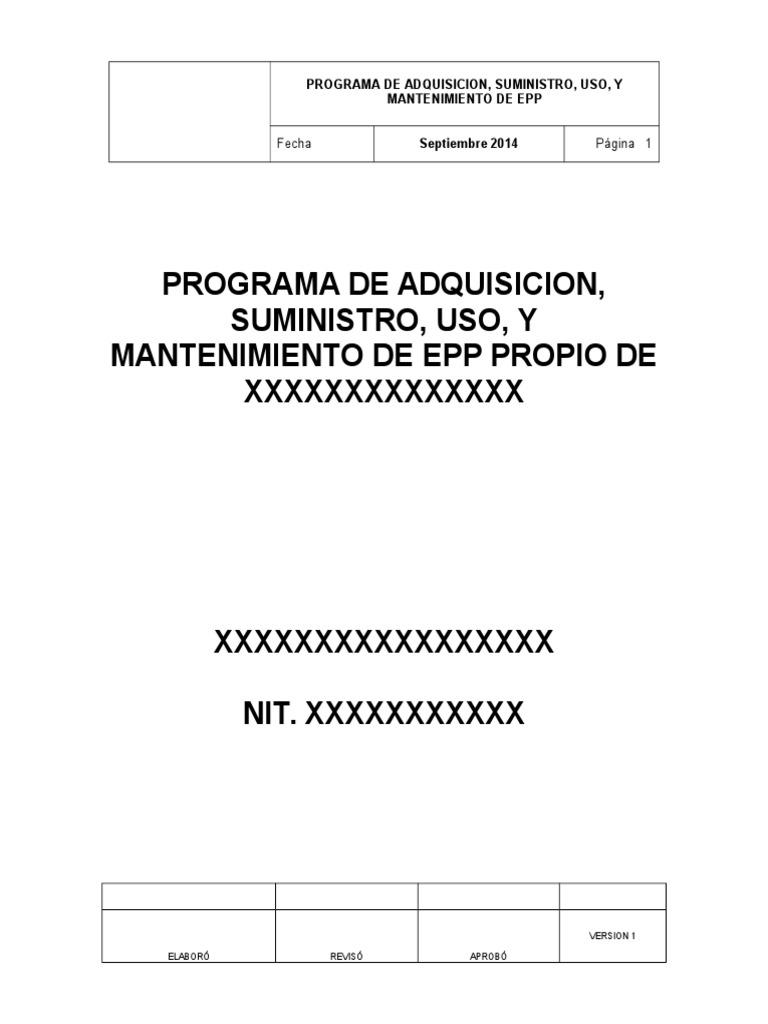 Programa de Uso y Porte de EPP | PDF | Seguridad y salud ocupacional | Bienestar