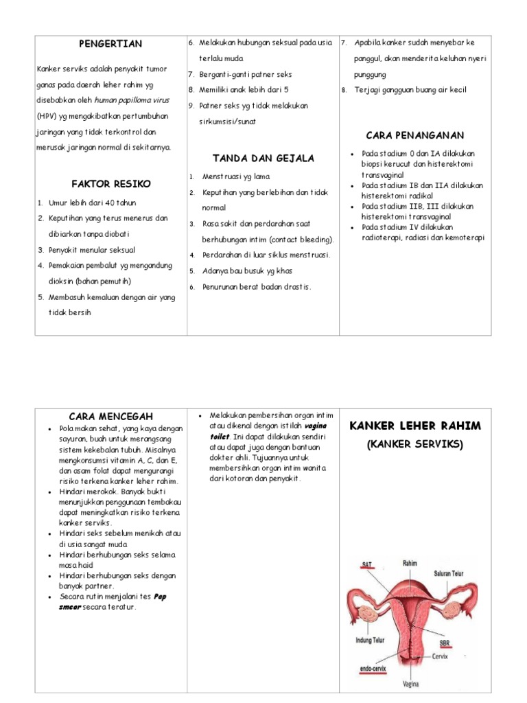 Leaflet Kanker Serviks | PDF