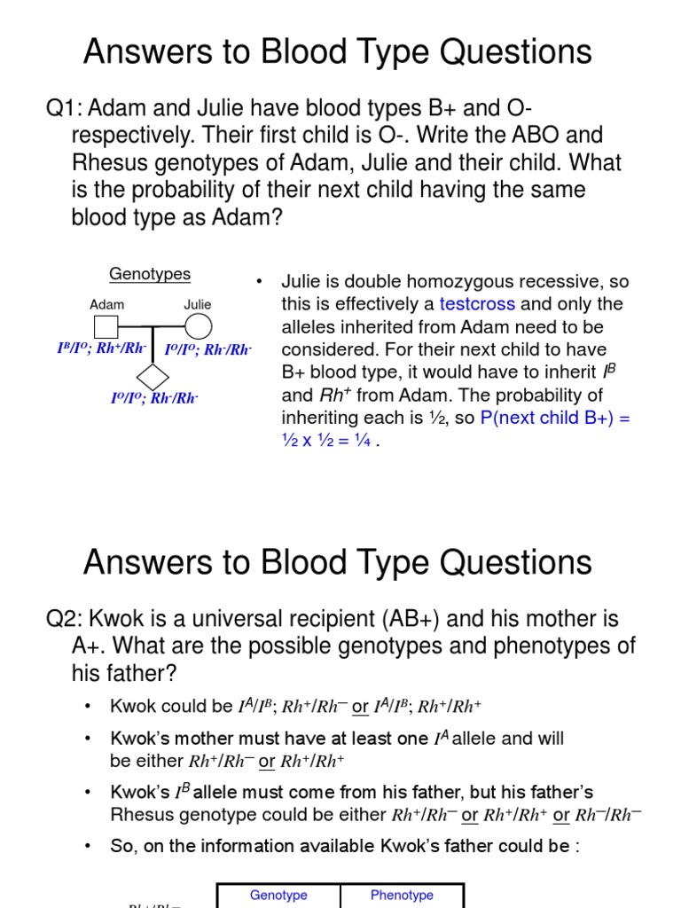 Answers To Blood Type Questions | PDF