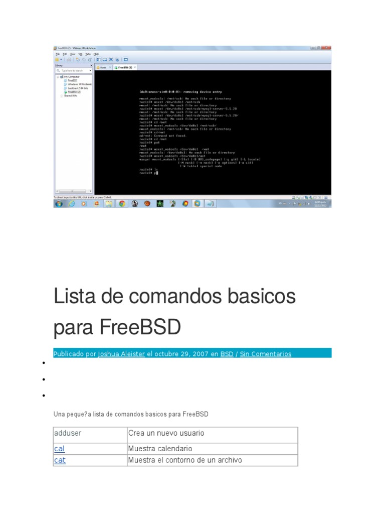 Comandos Basicos para FreeBSD | PDF