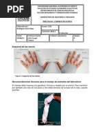 Anatomía y Cuidado de la Rata Wistar | PDF