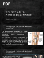 Signo de Puppe Werkgartner | PDF | Libros para adolescentes