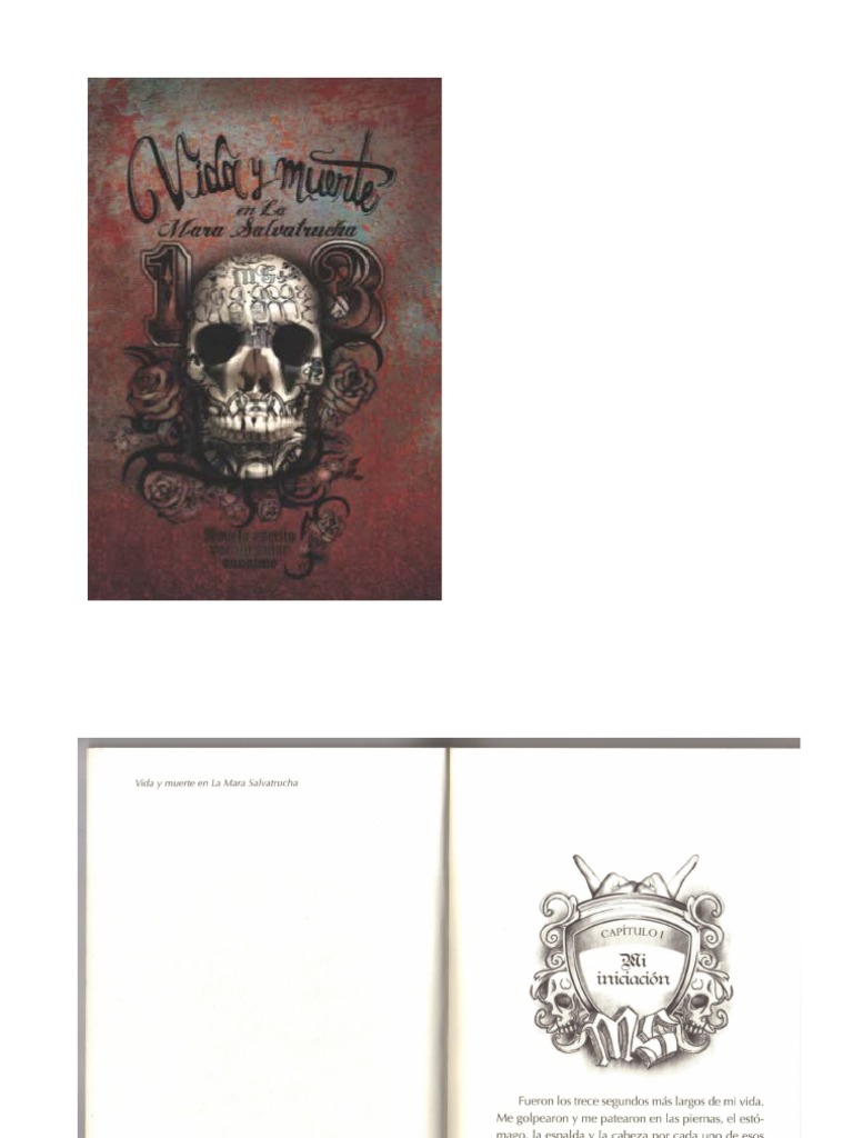 Vida y Muerte en La Mara Salvatrucha | PDF