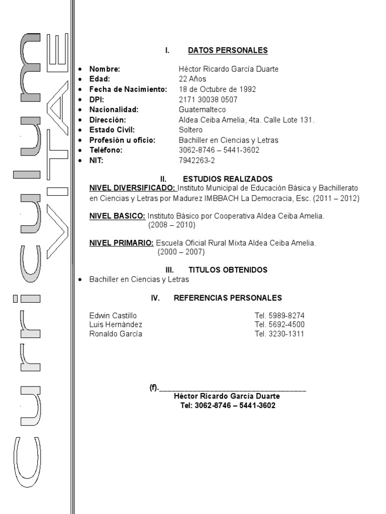 Machote Curriculum Vitae | PDF