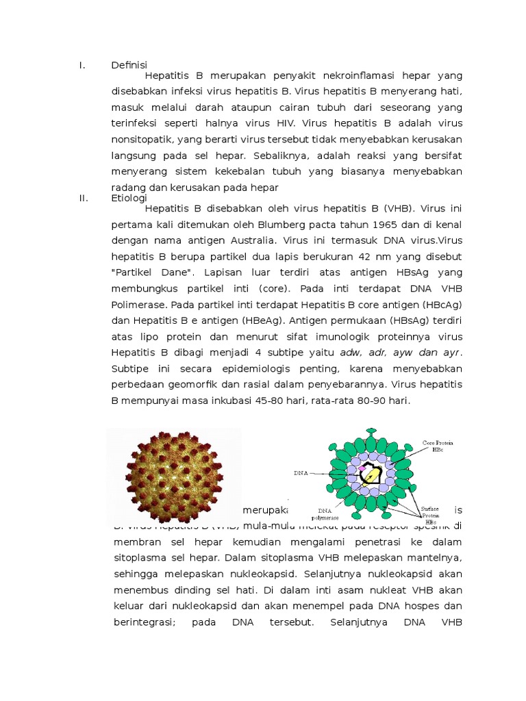 LP Hepatitis B | PDF