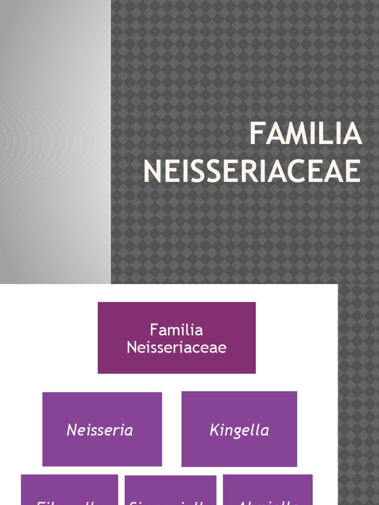 Familia-Neisseriaceae | PDF | Biología | Medicina