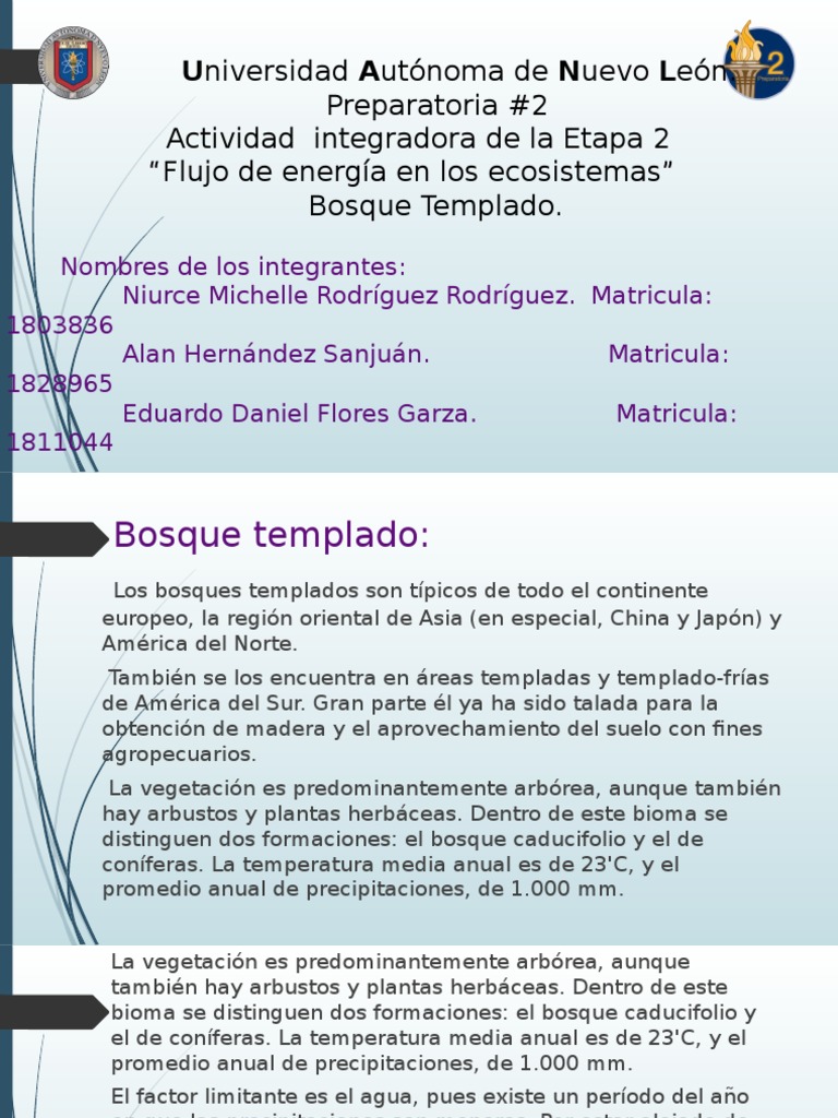 Flujo de Energía en Los Ecosistemas | PDF | Arboles | Clima templado