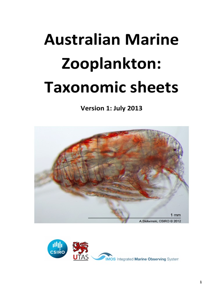 Australian Copepod Identification Guide | PDF | Plankton | Species
