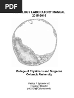 Autopsy of A Dill Pickle Person Lab | PDF | Abdomen | Anatomical Terms ...