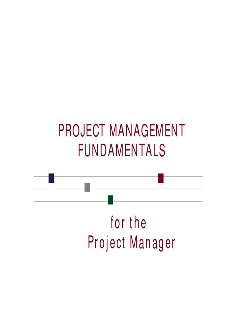 Project Management Fundamentals For The Project Manager PDF | PDF