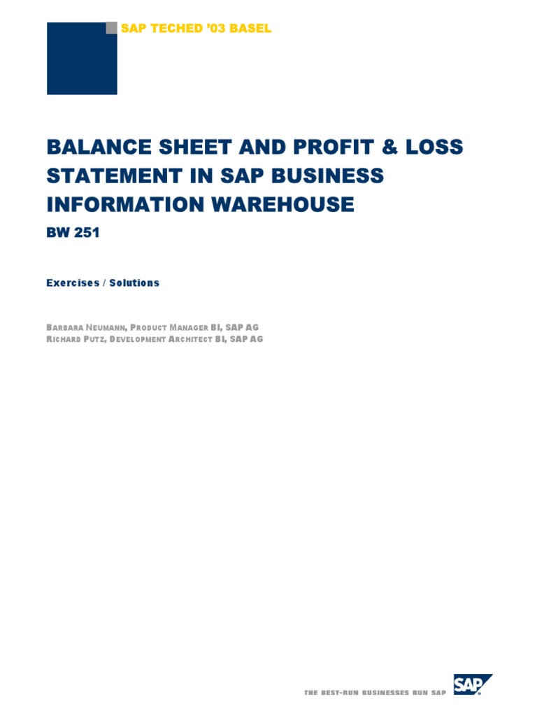 Balance Sheet and Profit and Loss Statements in The SAP Business ...